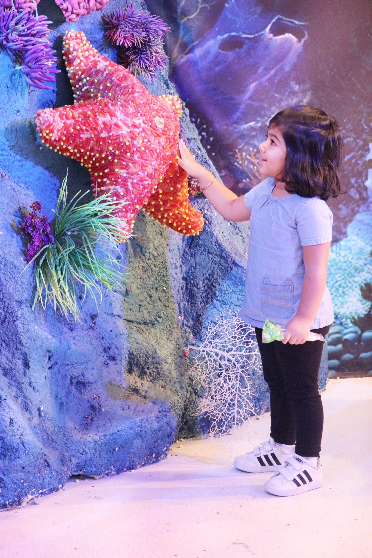 Candytopia- A Paradise For Kids | Jinscribe